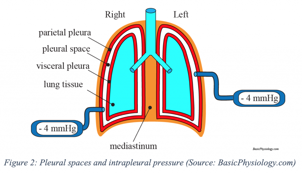 Emergency Medicine Educationed Evaluation And Management Of Pleural Effusions One