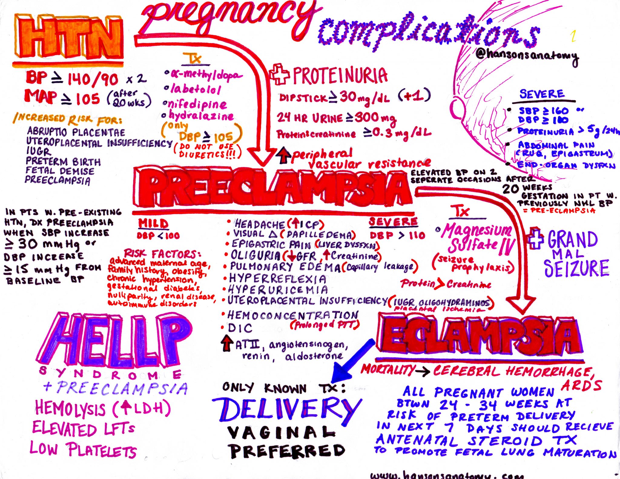 EmDOCs Emergency Medicine EducationEclampsia In The ED emdocs-emergency-medicine-educationeclampsia-in-the-ed