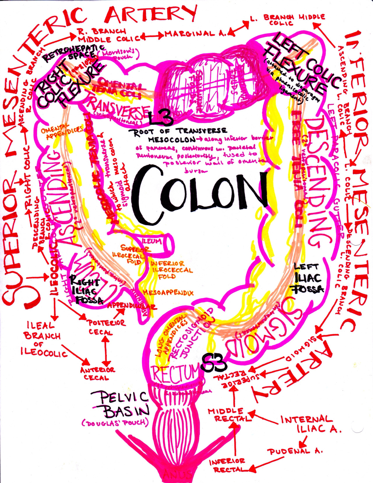 emDOCs.net – Emergency Medicine EducationColon - emDOCs.net - Emergency ...