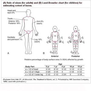 practice updates Archives - Page 14 of 26 - emdocs
