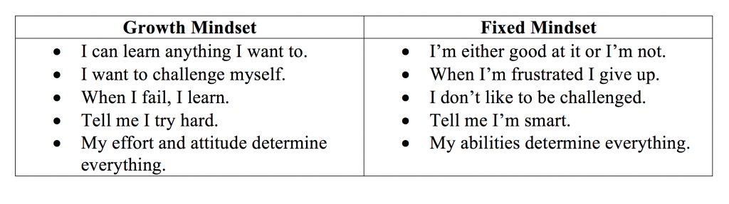 Mindset in Medical Education: How does Mindset play a role in support ...
