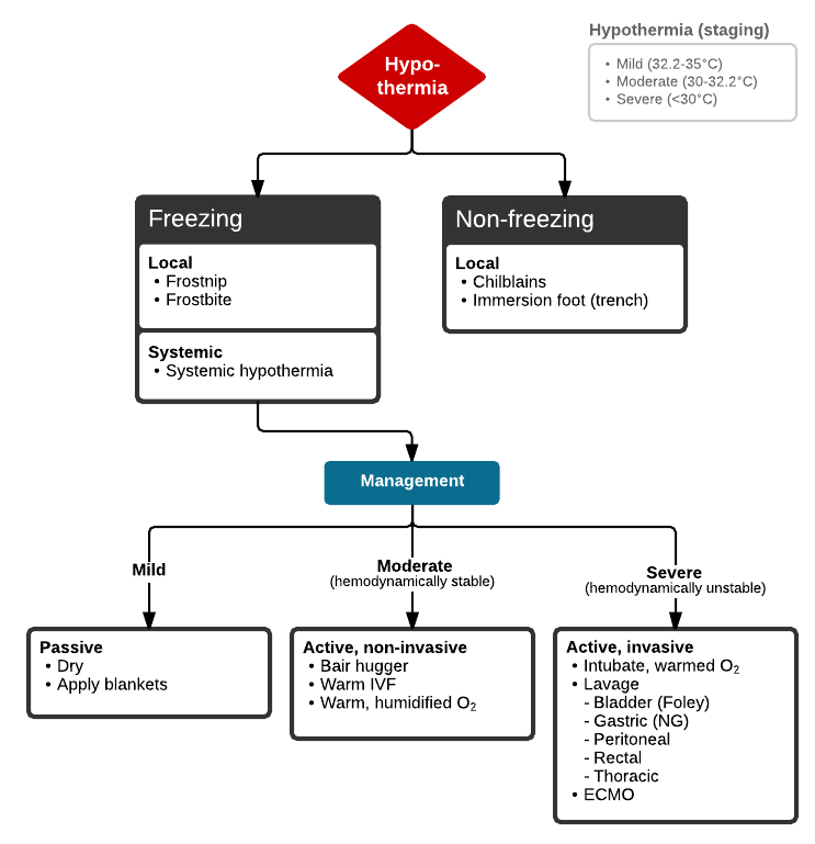 emDOCs.net – Emergency Medicine Education“Dementia” in the emergency ...