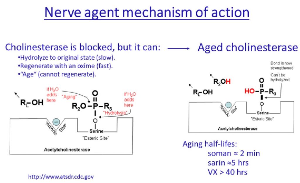 emDOCs.net – Emergency Medicine EducationTOXCard: Nerve Agents - emDOCs ...