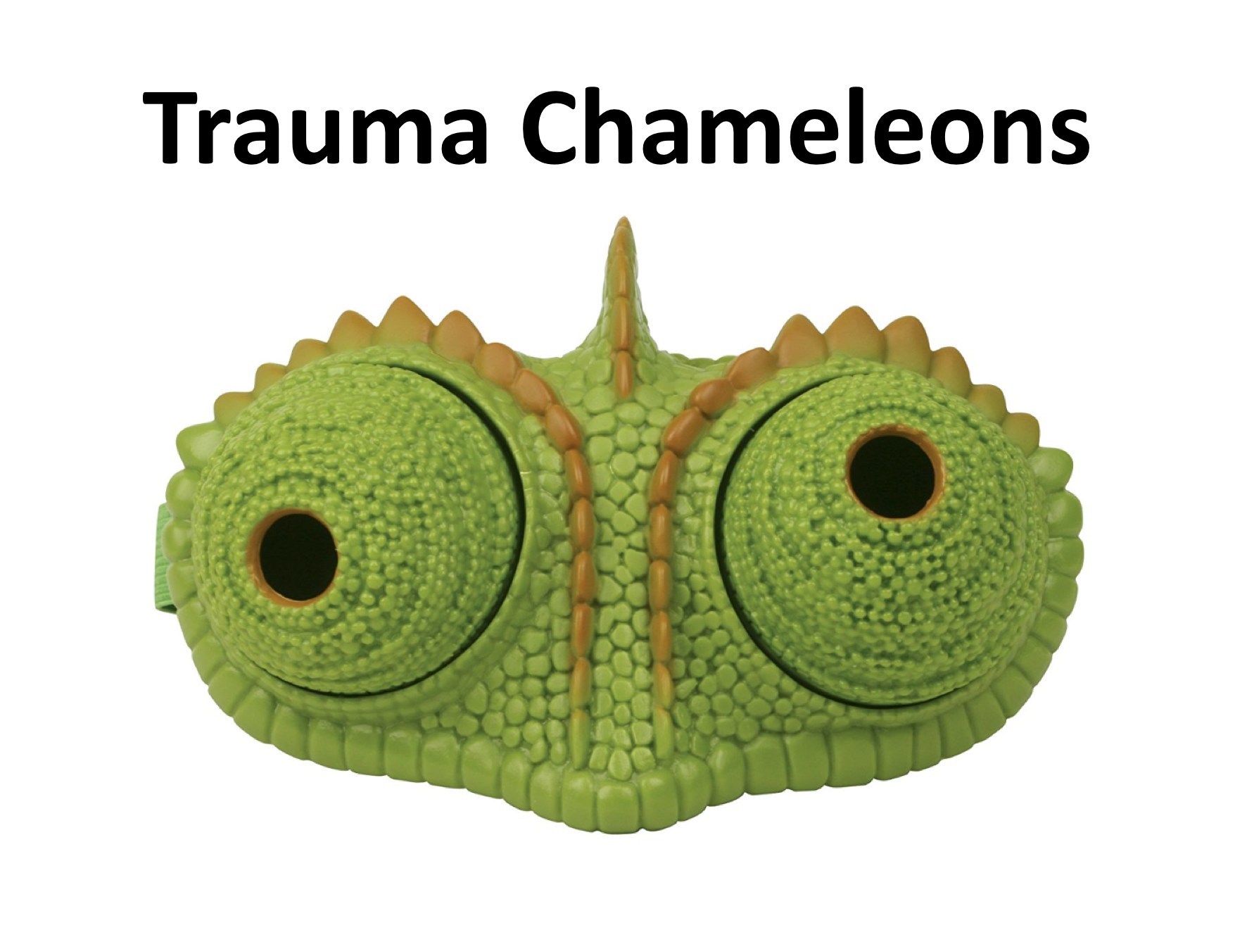 chameleons Archives - emDocs