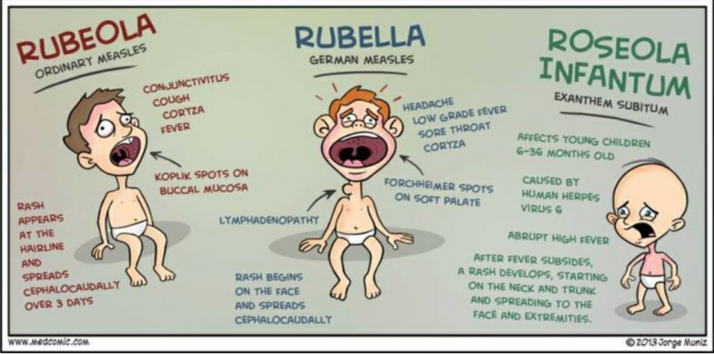 emDOCs.net – Emergency Medicine EducationEM in 5: Measles - emDOCs.net ...