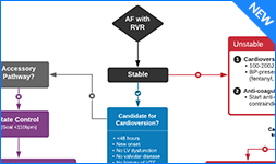 emDOCs.net – Emergency Medicine EducationInterpreting Waveform ...