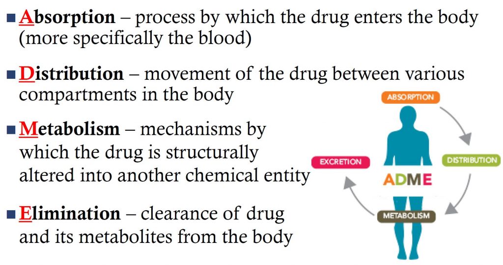 TOXCards: General Principles of Toxicokinetics - emDocs