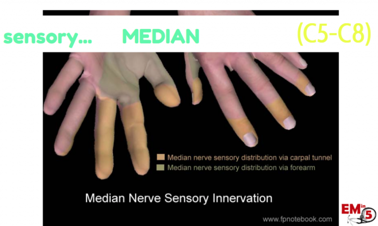 EM in 5: Rapid Neuro Hand Exam - emDocs