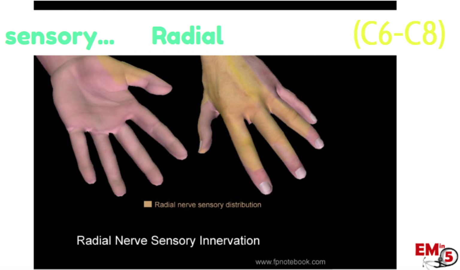 EM in 5: Rapid Neuro Hand Exam - emDocs