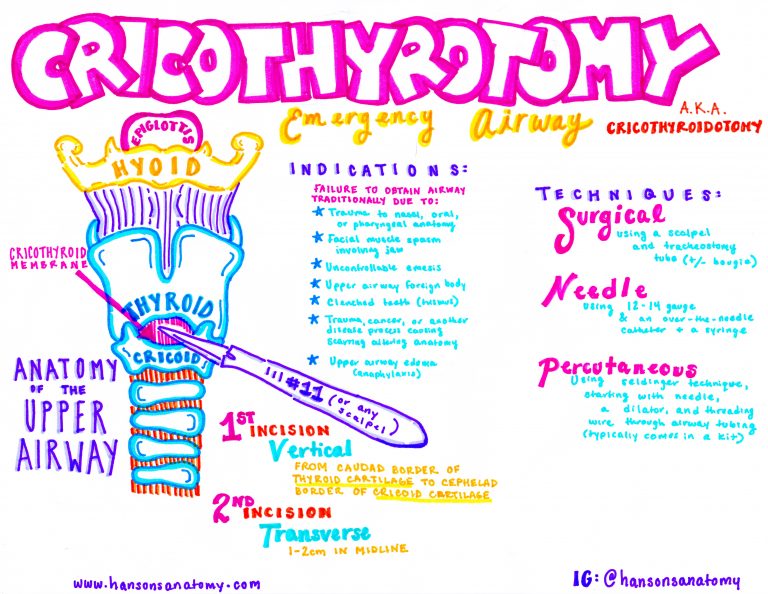 emDOCs.net – Emergency Medicine EducationThe EM Educator Series ...