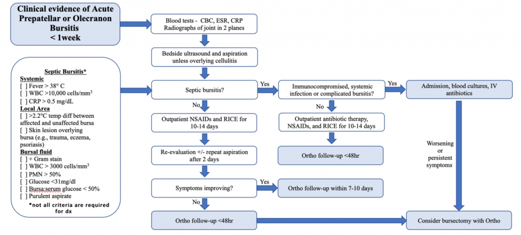 emDOCs.net – Emergency Medicine EducationSeptic Bursitis: ED ...