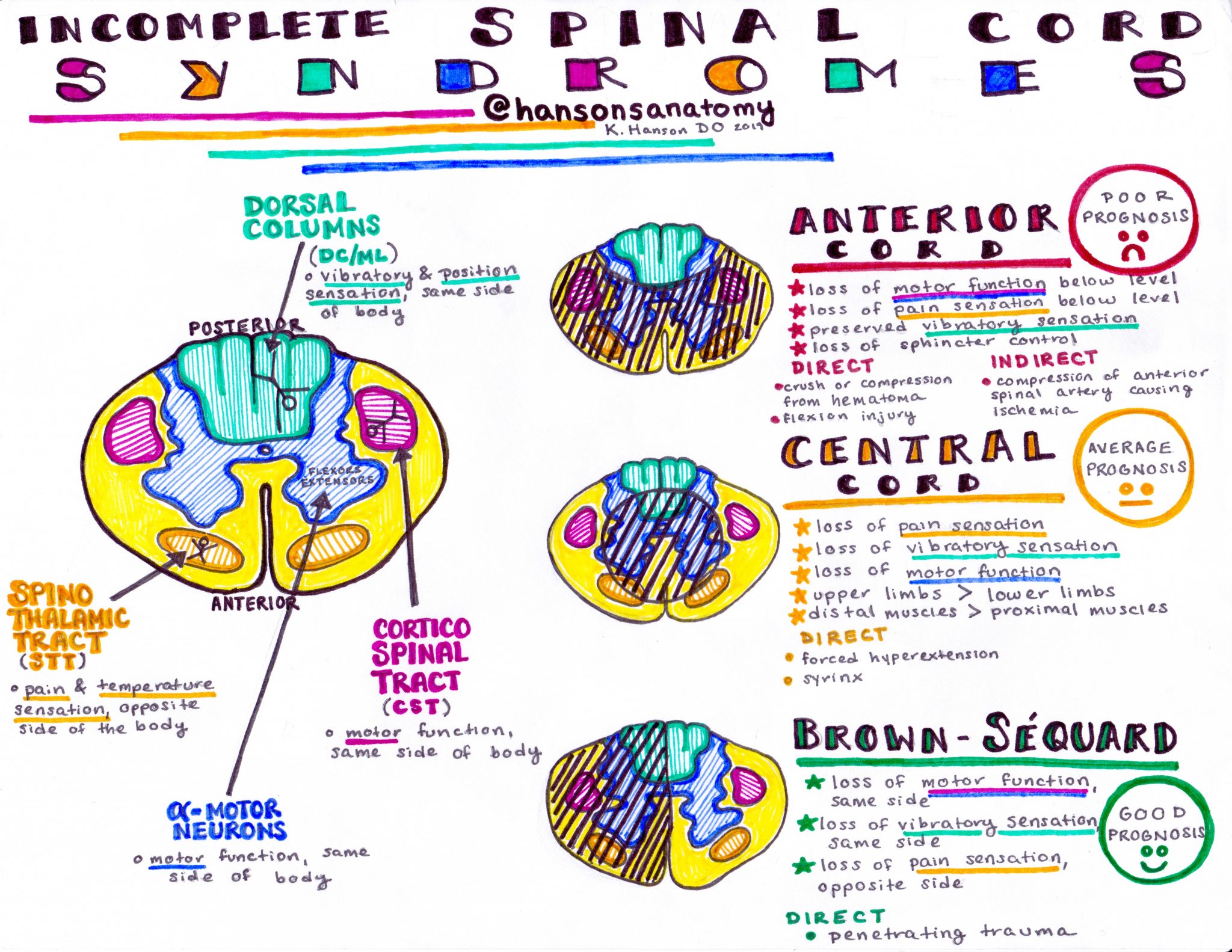 emDOCs.net – Emergency Medicine EducationPatients with Chronic Spinal ...