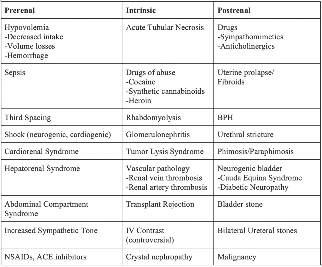 Oliguria and Anuria: ED Presentations, Evaluation, and Management - emDocs