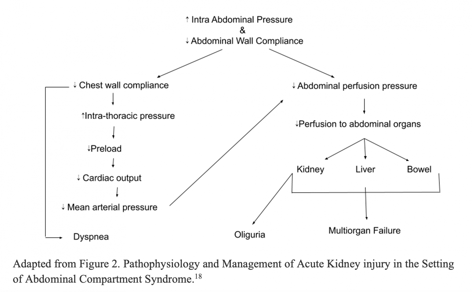 emDOCs.net – Emergency Medicine EducationOliguria and Anuria: ED ...