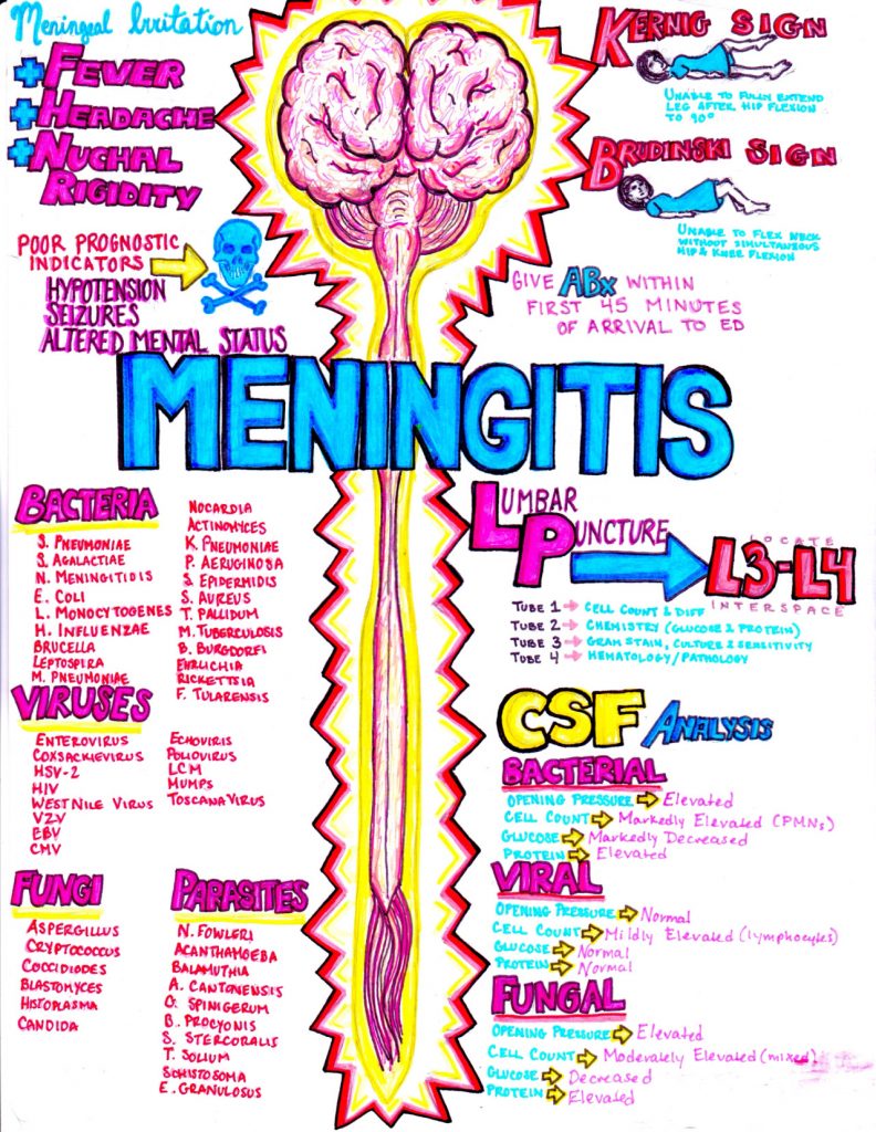 emDOCs.net – Emergency Medicine EducationMeningitis – Why do we miss it ...