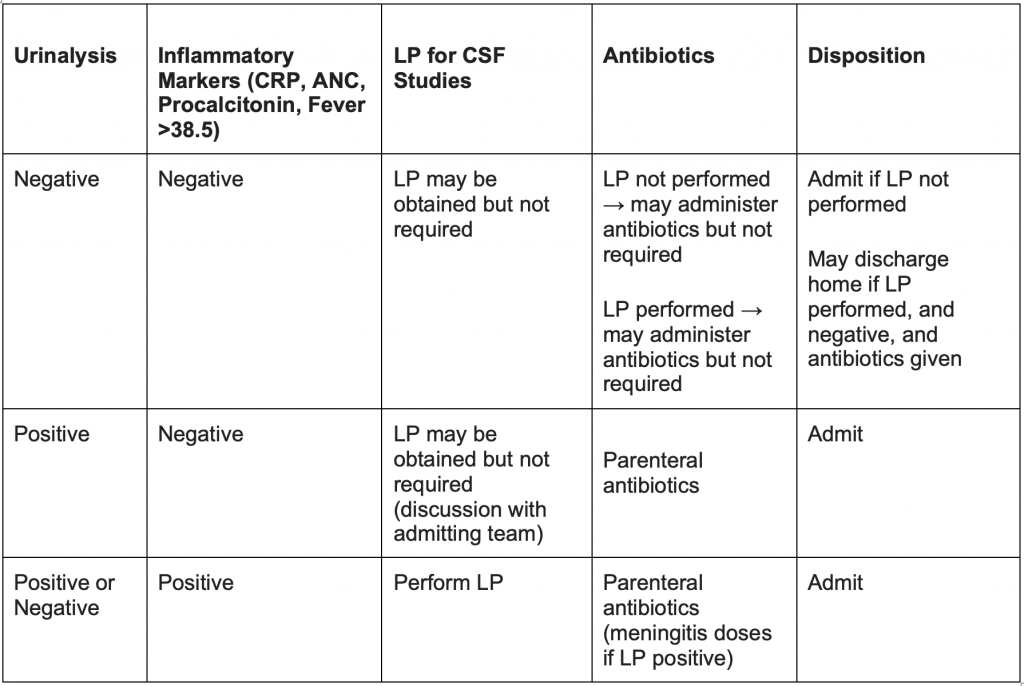 Small Talk - Hot Off The Presses: The Latest AAP Guidelines for the ...