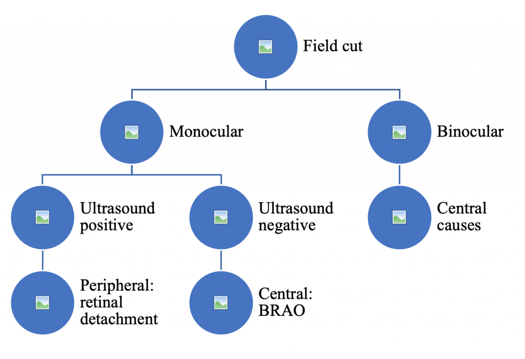 Central vs. Peripheral Vision Loss - emDocs