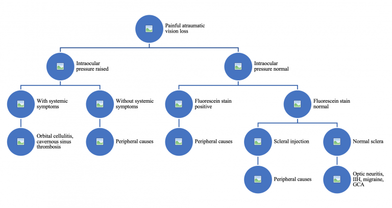 Central vs. Peripheral Vision Loss - emDocs