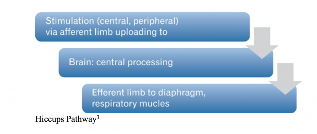 EM@3AM: Hiccups - emDocs