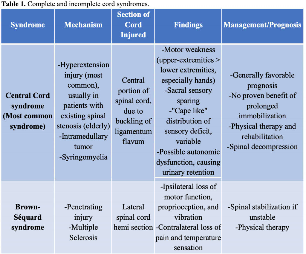 We Have Your Back: ED Presentations, Evaluation, and Management of ...