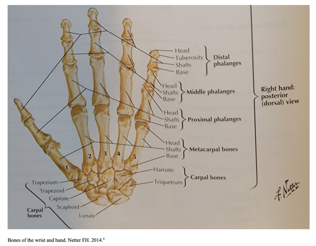 EM@3AM: Finger Amputation - emDocs