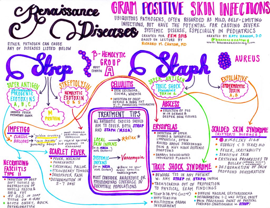 emDOCs.net – Emergency Medicine EducationCellulitis - emDOCs.net ...
