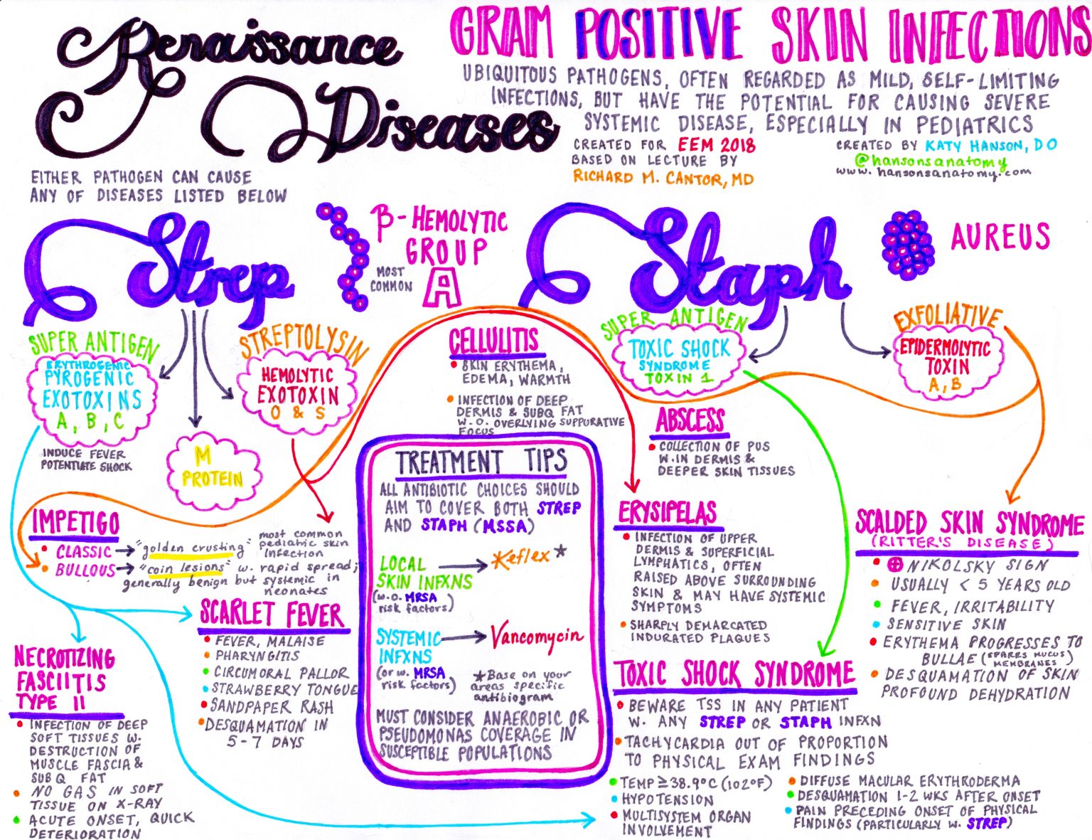 emDOCs.net – Emergency Medicine EducationCellulitis - emDOCs.net ...