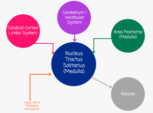 Dangerous Causes of Nausea/Vomiting Beyond the GI System - emDocs