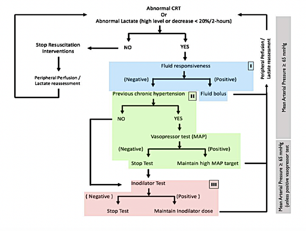 52 in 52 - #8: The “ANDROMEDA-SHOCK” Trial - emDocs