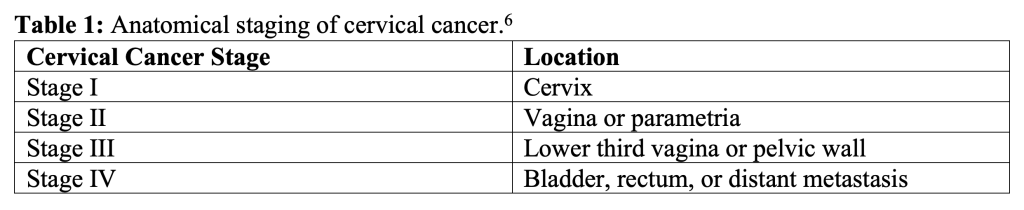 The Bleeding Cervical Cancer Patient: Systematic Approach and ...
