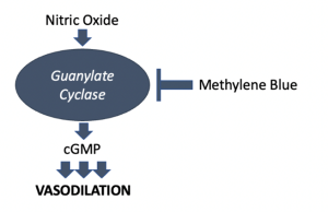 ToxCard: Methylene Blue - emDocs
