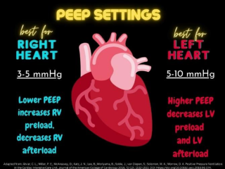 Cardiogenic Shock: Emergency Department-Focused Management - emDocs