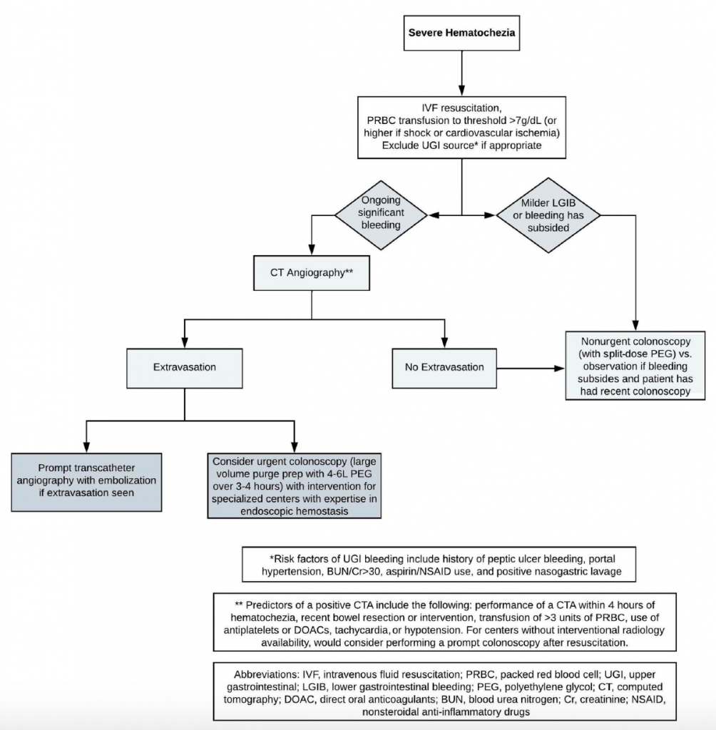 Guideline Update: Acute Lower GI Bleeding - emDocs