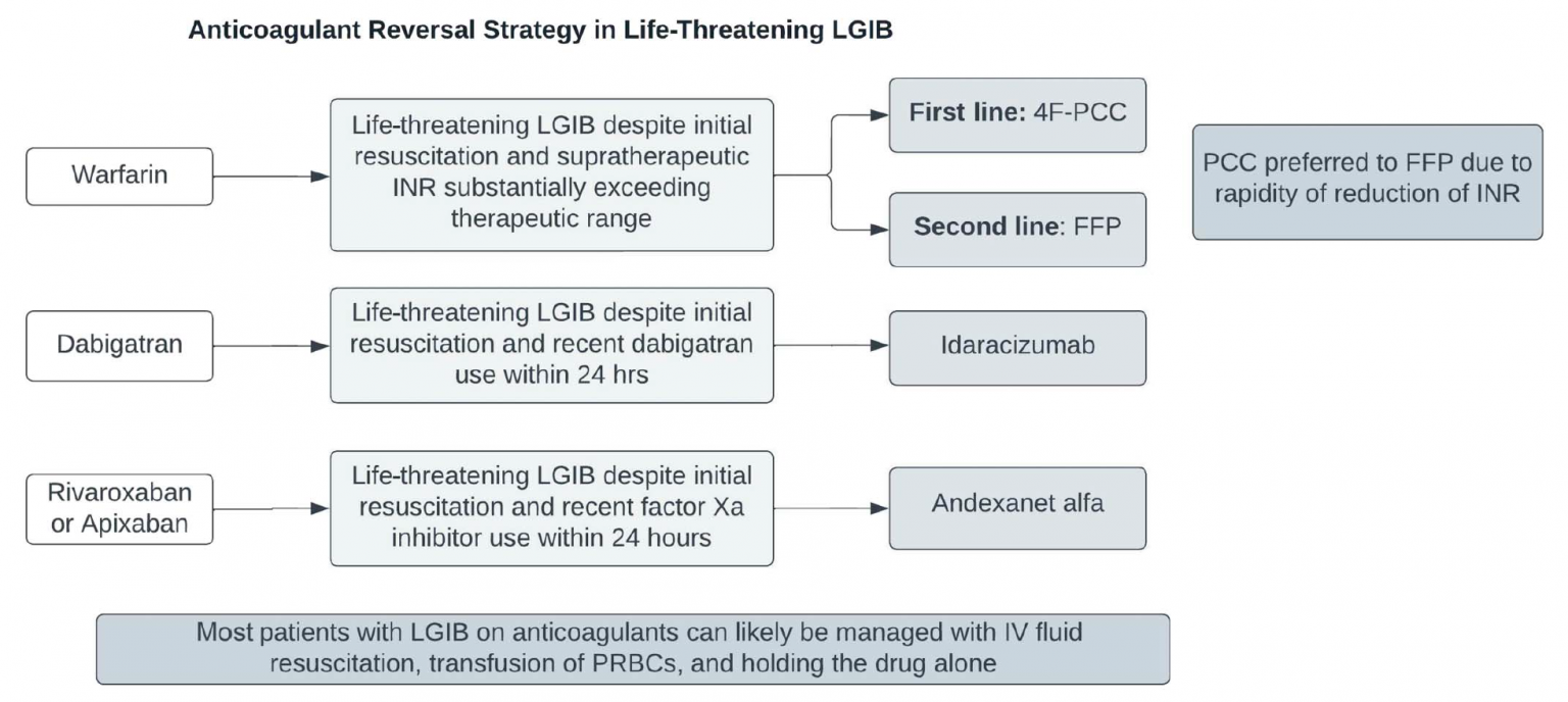 Guideline Update: Acute Lower GI Bleeding - emDocs