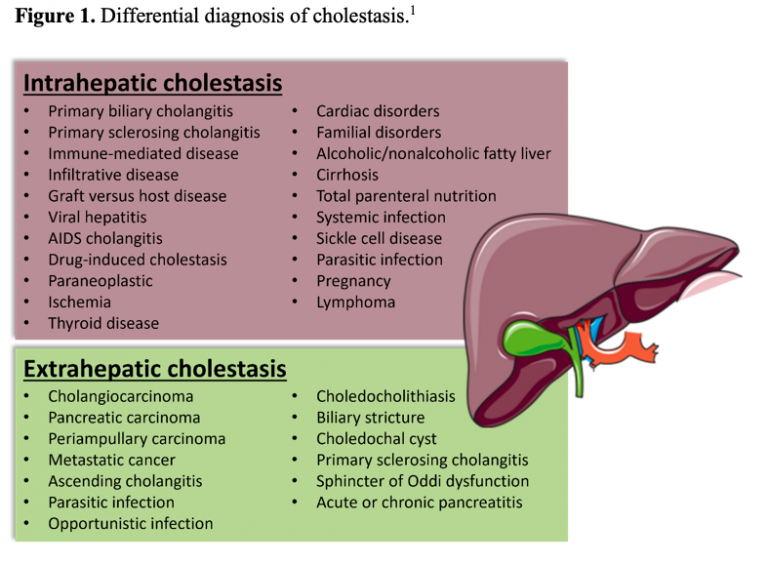 Emergency Department Evaluation of Cholestatic Labs - emDocs