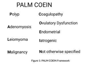 EM@3AM: Vaginal Bleeding - emDocs