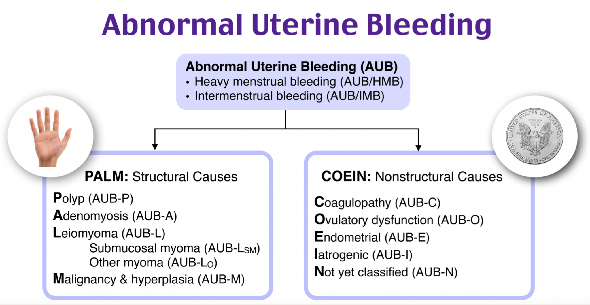 EM@3AM: Vaginal Bleeding - emDocs