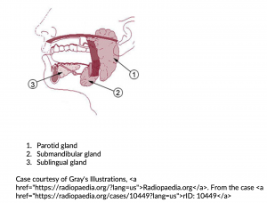 EM@3AM: Sialadenitis - emDocs