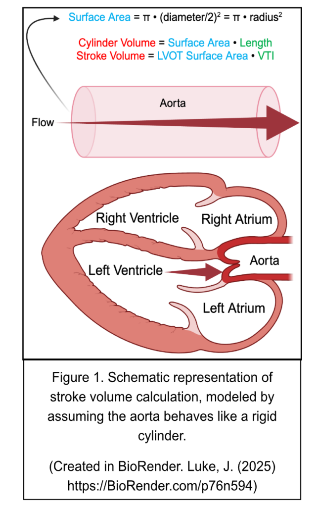 US Probe: Velocity Time Integral (VTI) in Sepsis Management - emDocs