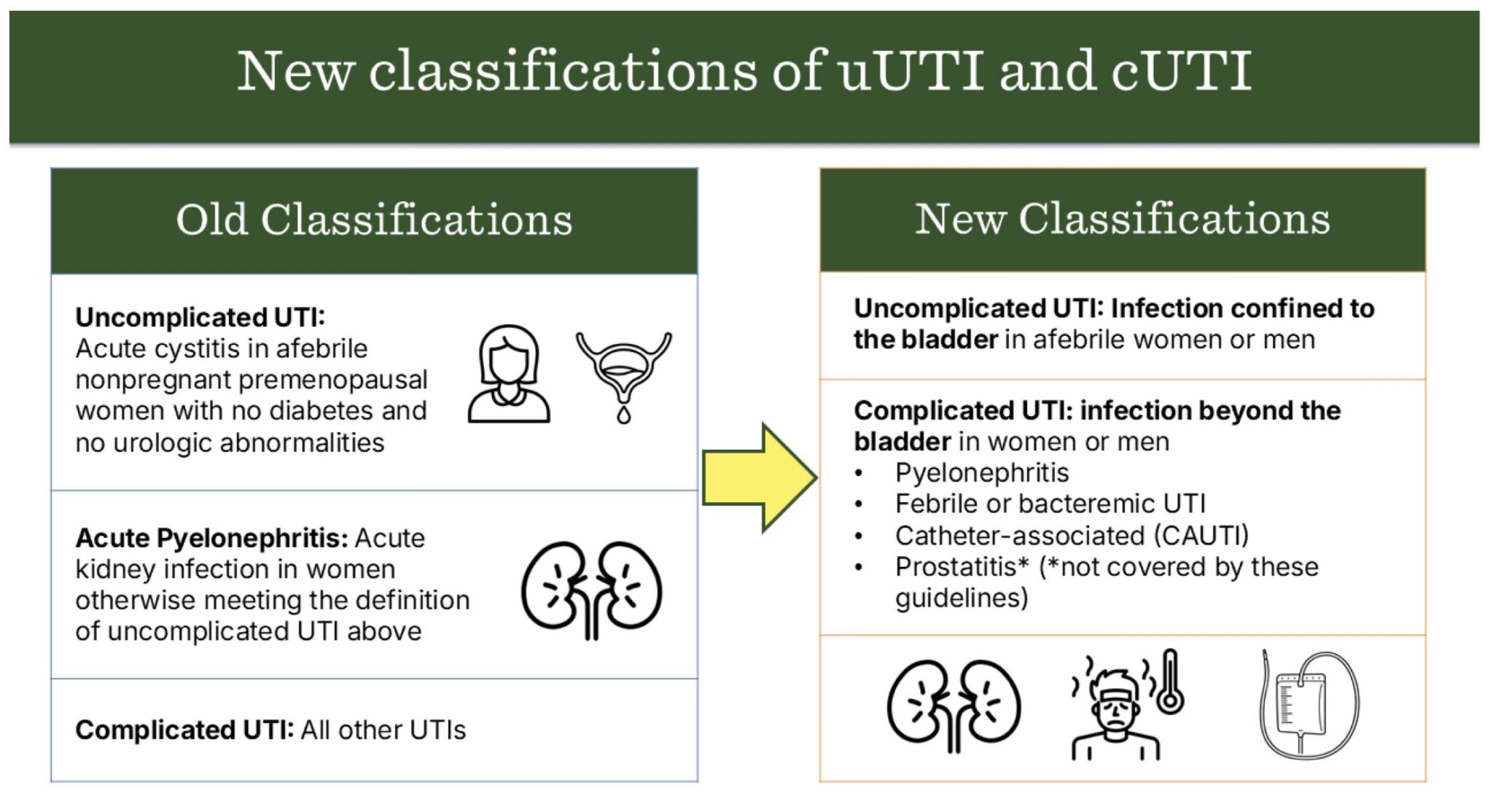 Guideline Update: 2025 IDSA Management of Complicated UTI - emDocs