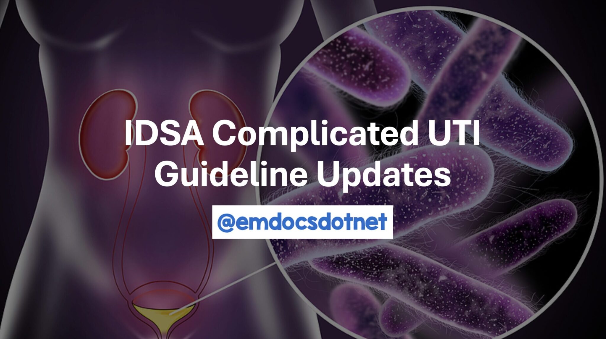 Guideline Update: 2025 IDSA Management of Complicated UTI - emDocs